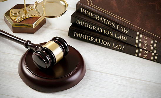 Deportaion Defense (Immigration Courts) - The Sedaghat Law Firm